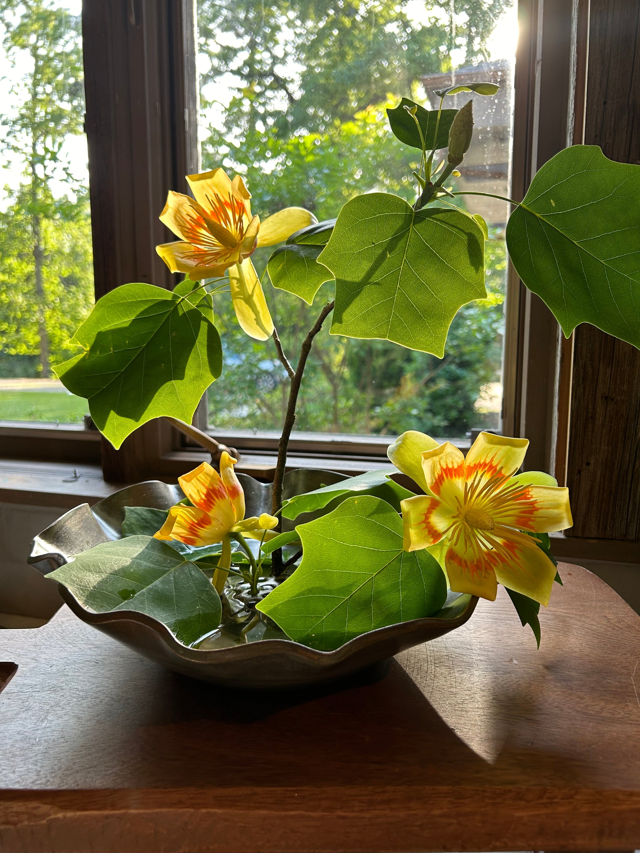 Bloomhaven Bowl (dark green) – Saron Henderson Ceramics