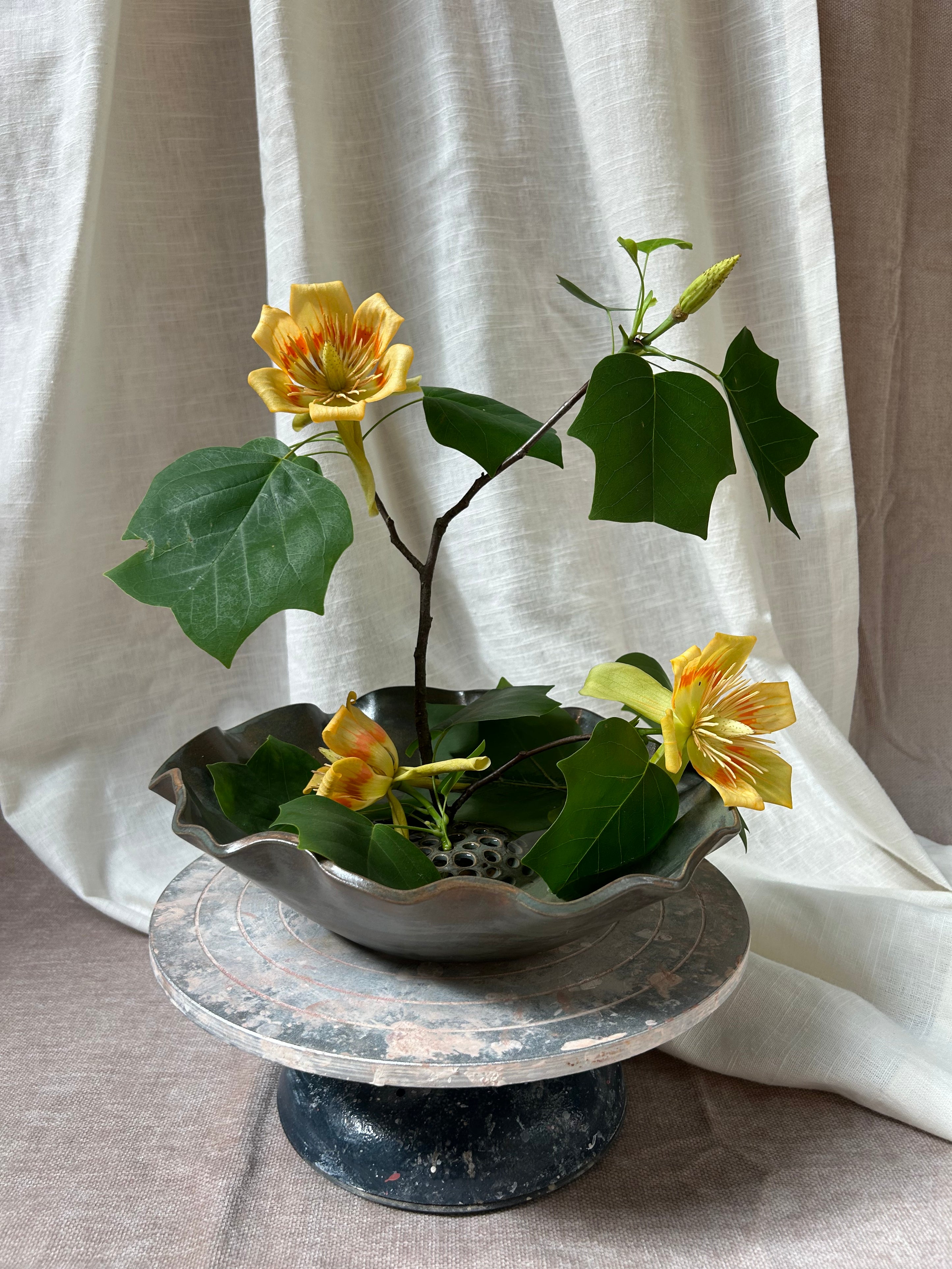 Bloomhaven Bowl (dark green) – Saron Henderson Ceramics